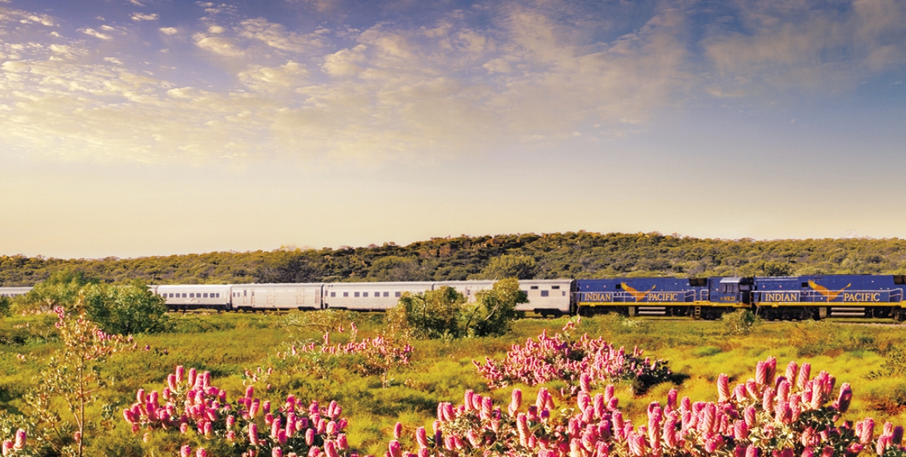 The Indian Pacific | Railbookers®